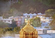 Divya Darshan - Tirumala - By Walk Darshan In Tirumala - Details ...