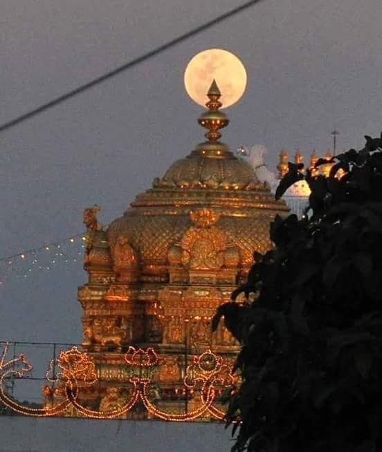 Tirumala Temple – Lunar Eclipse Schedule - 2026